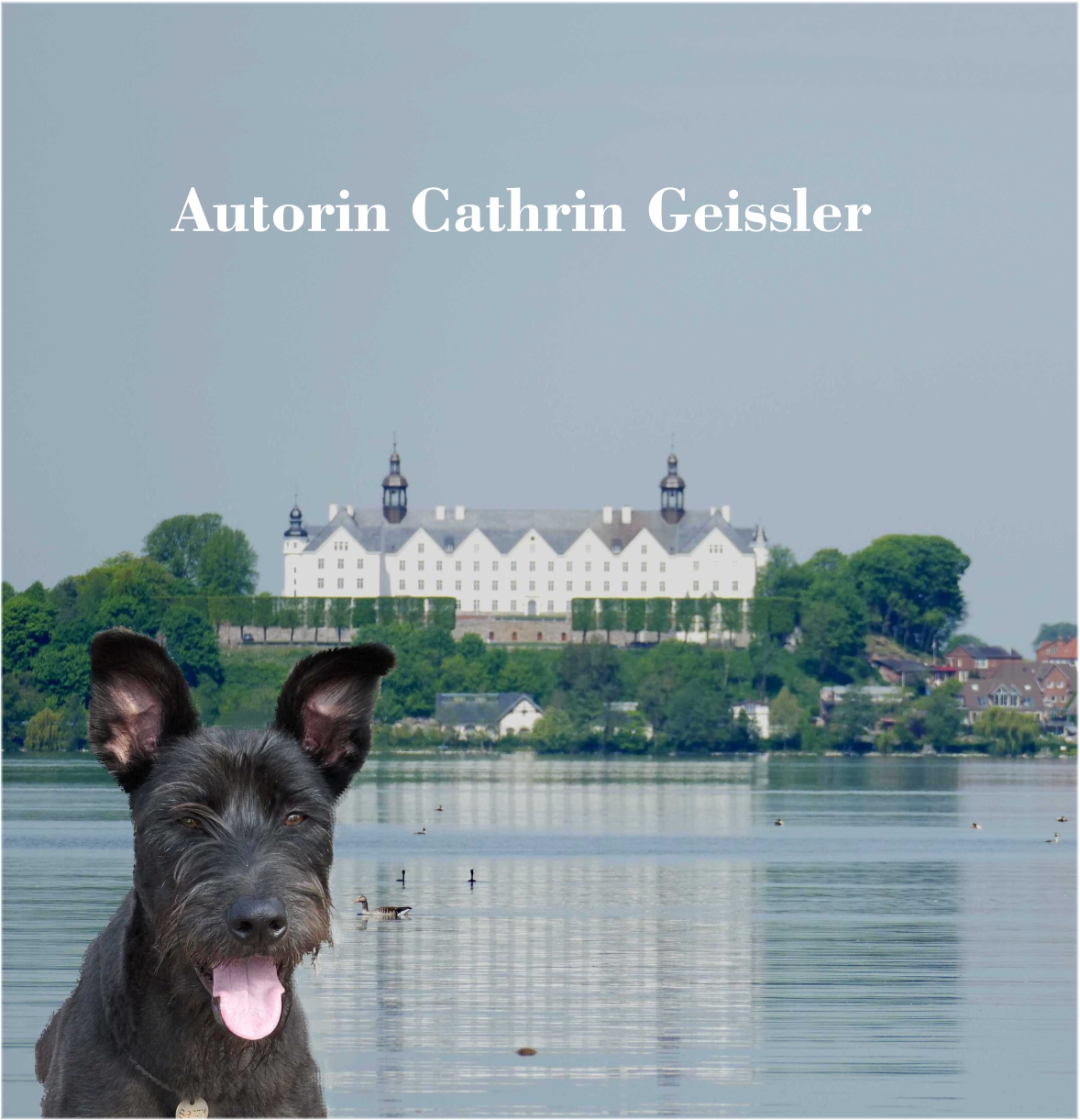 Interview mit Tank